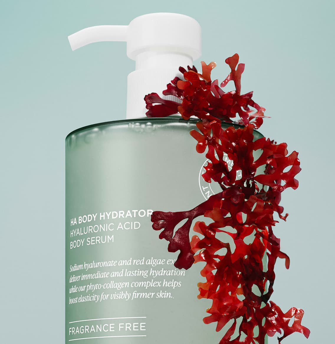 Meet Our Hyaluronic Acid Body Serum For Full-Body Hydration | Saltair